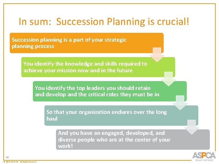 Succession Planning People Development Practical Tools for Managers