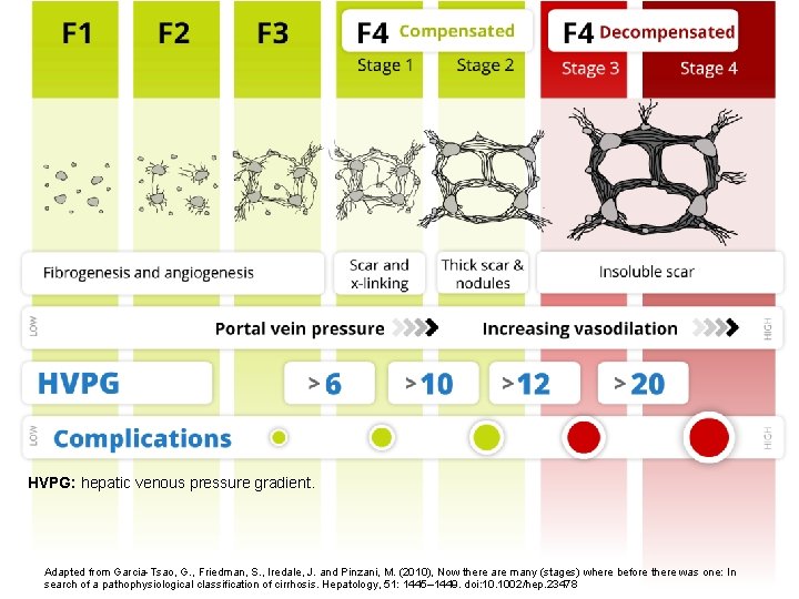 Hepatic Encephalopathy Exploring the neuropsychiatric consequences of ...