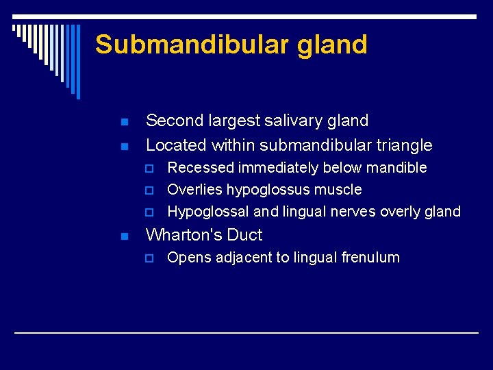 Pathophysiology of salivary glands Zuzana Humlov Salivary glands