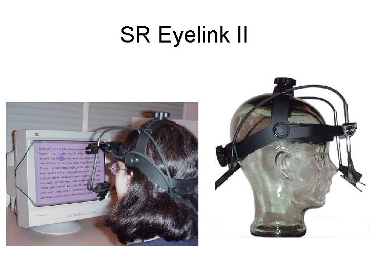 The role of vision and attention in language