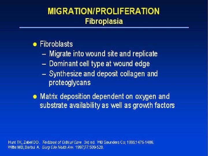 Wound healing November 4 2004 Wound healing n