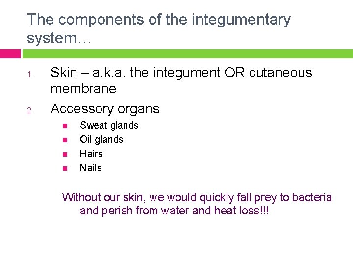 THE INTEGUMENTARY SYSTEM Our skin The components of