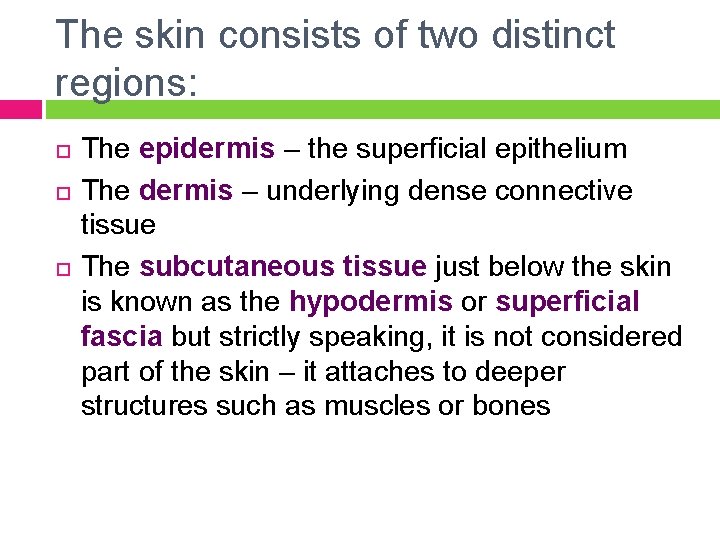THE INTEGUMENTARY SYSTEM Our skin The components of