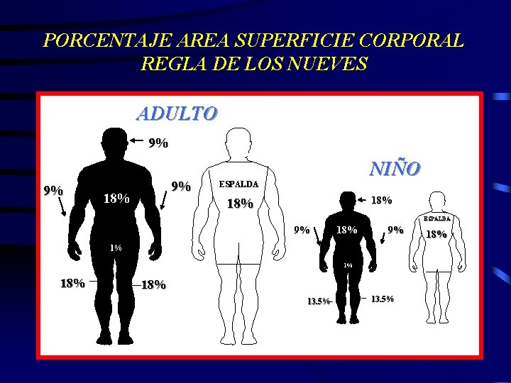 QUEMADURAS PROGRAMA DE CERTIFICACIN DE SEGURIDAD INTRODUCCIN ENFERMEDADES