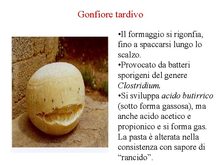 Formaggio Dal francese antico formage latino medievale caseum