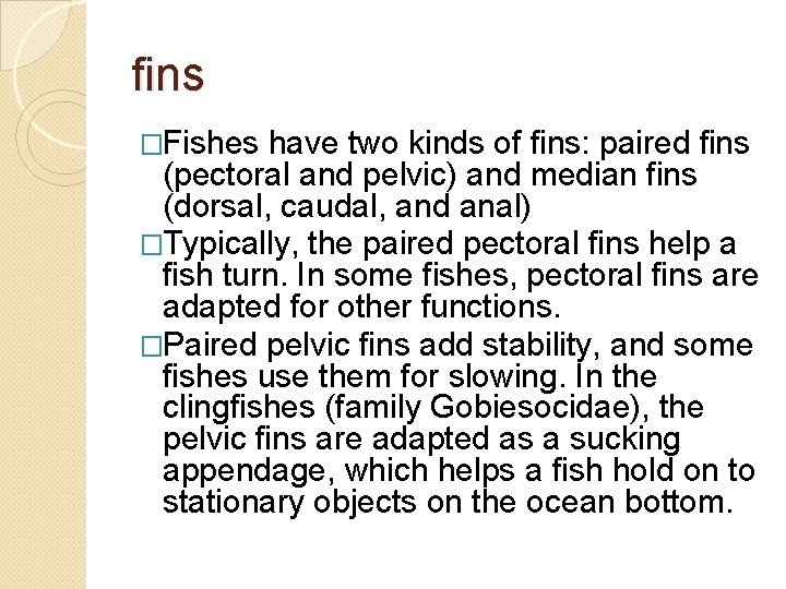 Bony Fishes Class Osteichthyes Scientific Classification Class Osteichthyes