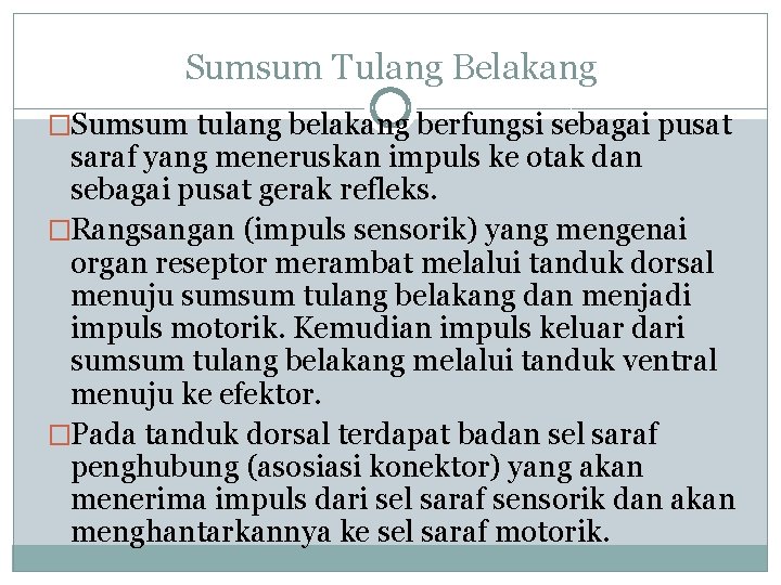 SISTEM SARAF PADA MANUSIA Sistem Saraf Pusat Sistem