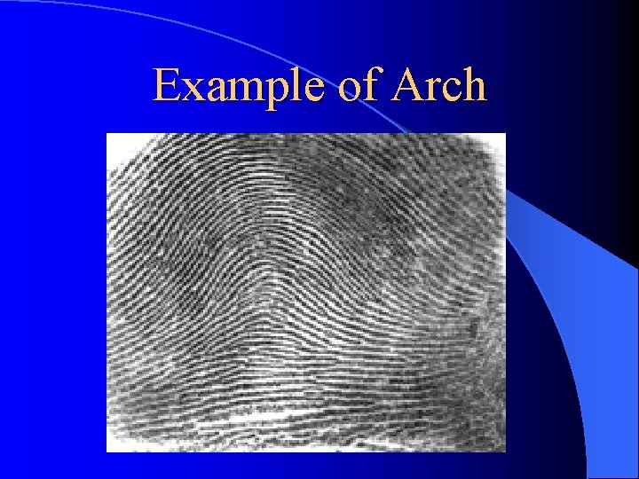 Fingerprints Background Information l Each fingerprint is made