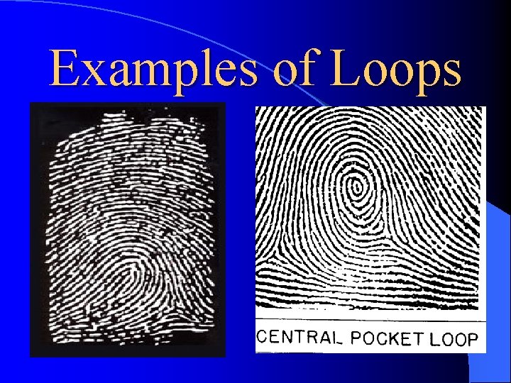 Fingerprints Background Information l Each fingerprint is made