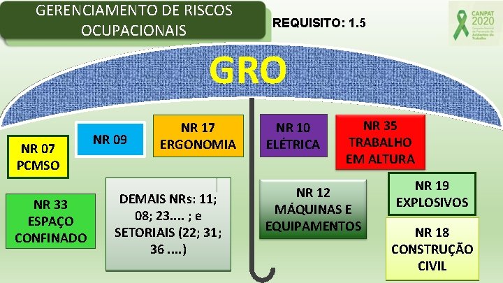 NR 01 GERENCIAMENTO DE RISCOS OCUPACIONAIS GRO PROGRAMA