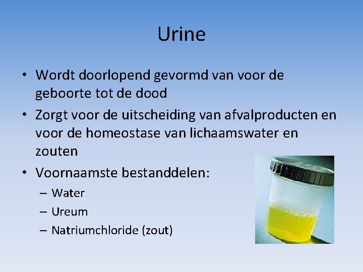 Urineonderzoek Urine Wordt doorlopend gevormd van voor de