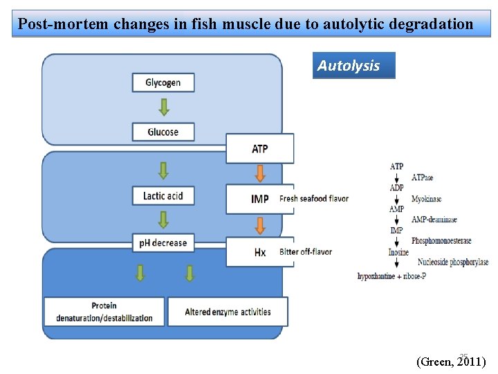 BIOCHEMISTRY OF FOOD SPOILAGE Charul 1 Jayanti Tokas