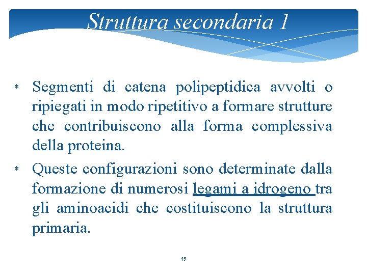 Lezione 2 Molecole biologiche nella cellula 1 Le
