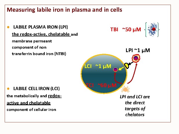 The metabolic effects of excess iron and its