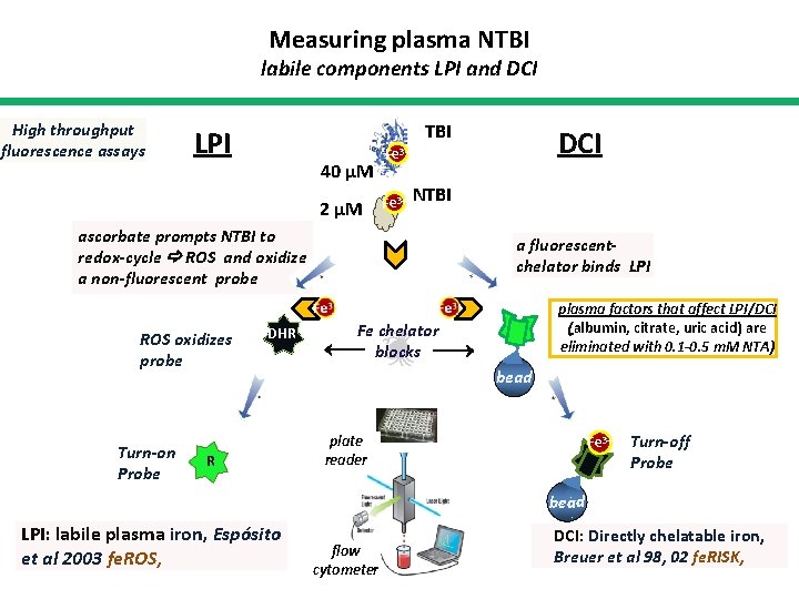 The metabolic effects of excess iron and its