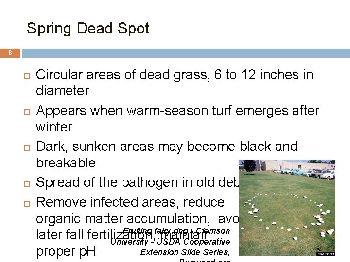 DISEASES Lesson 4 of 4 InPerson Educational Module