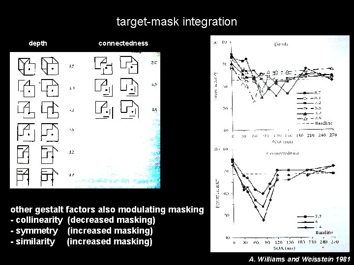 the role of figural context attention in masking