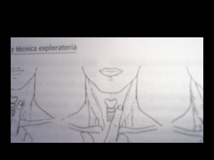 EXAMEN FISICO Empieza por la cabeza terminando en