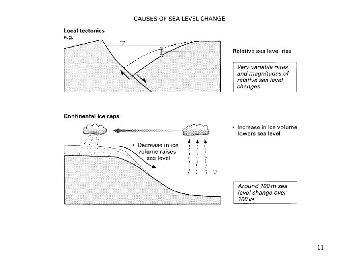 SeaLevel changes 1 Learning Objectives The shape of