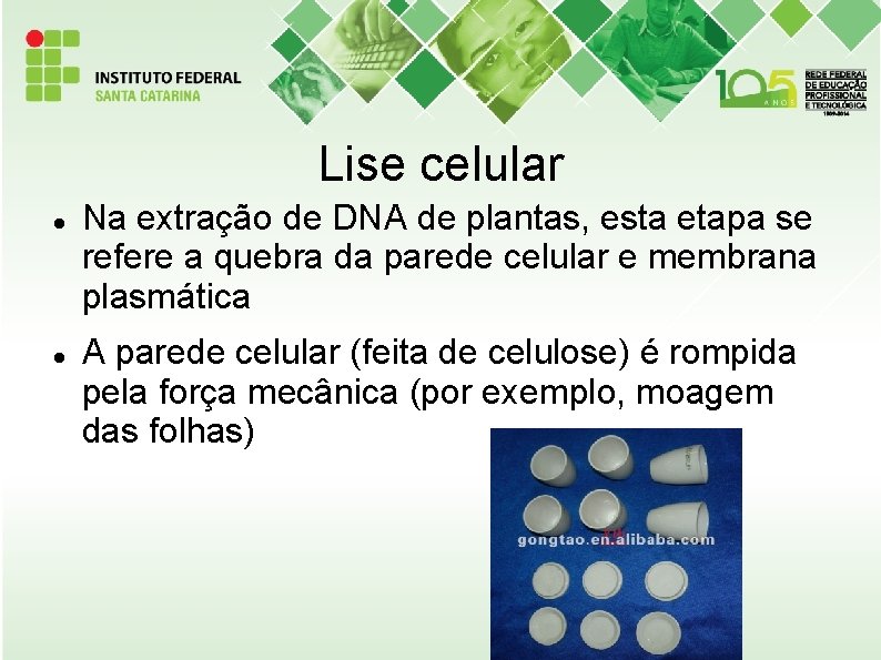 Extrao de DNA Prof Silmar Primieri Conceitos Prvios