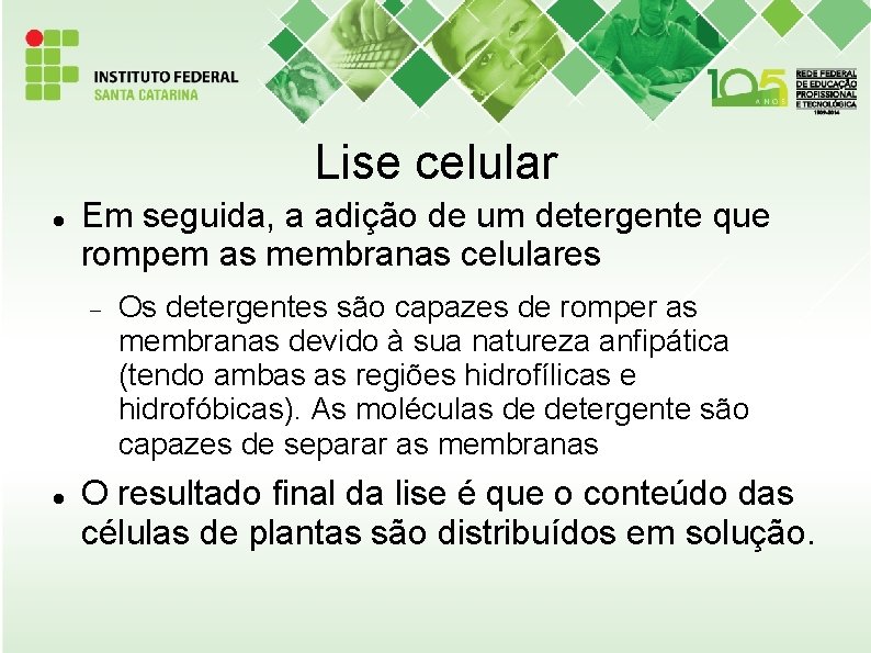 Extrao de DNA Prof Silmar Primieri Conceitos Prvios