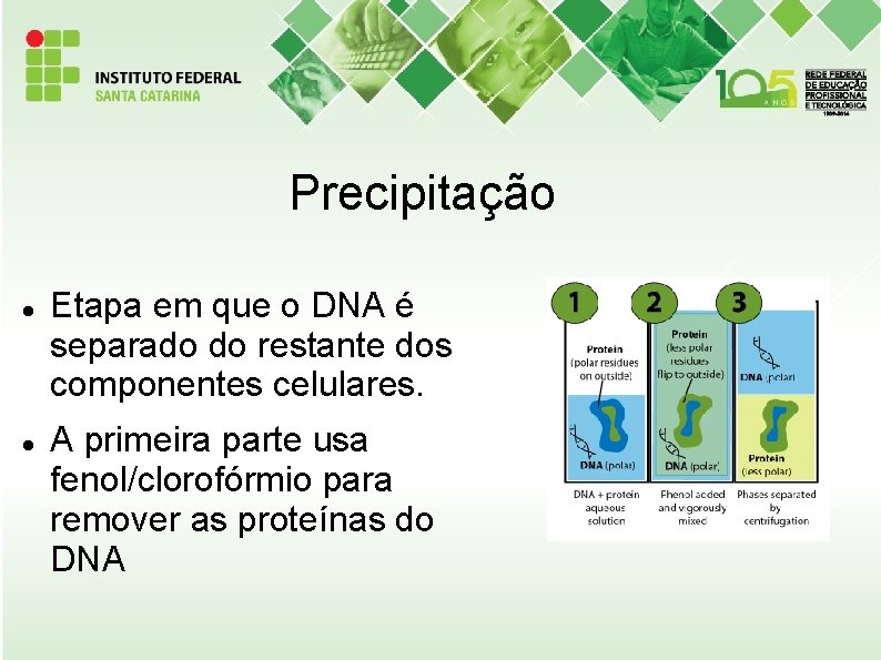 Extrao de DNA Prof Silmar Primieri Conceitos Prvios