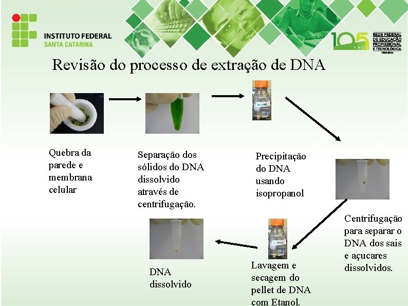 Extrao de DNA Prof Silmar Primieri Conceitos Prvios