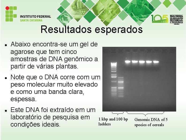 Extrao de DNA Prof Silmar Primieri Conceitos Prvios