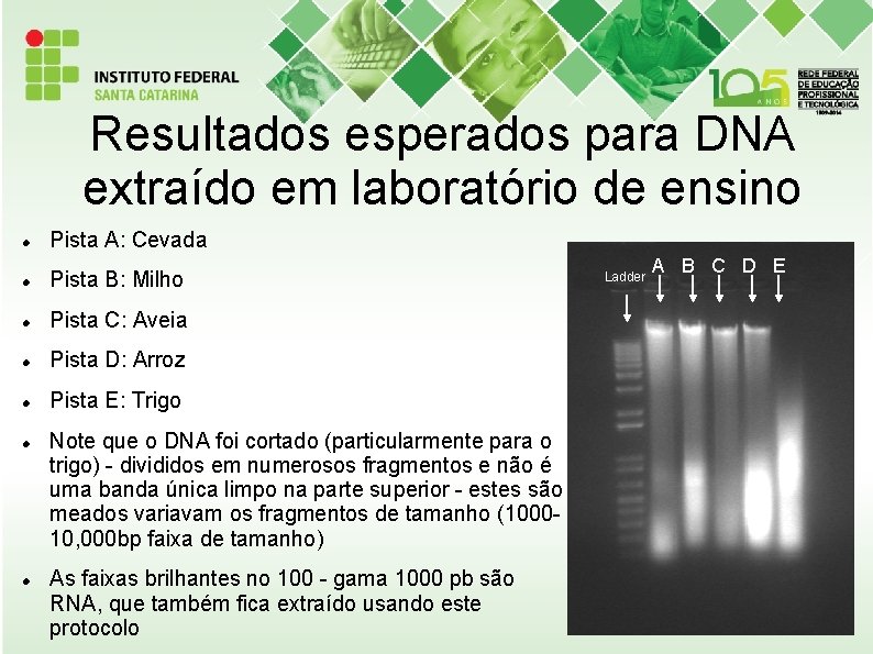 Extrao de DNA Prof Silmar Primieri Conceitos Prvios