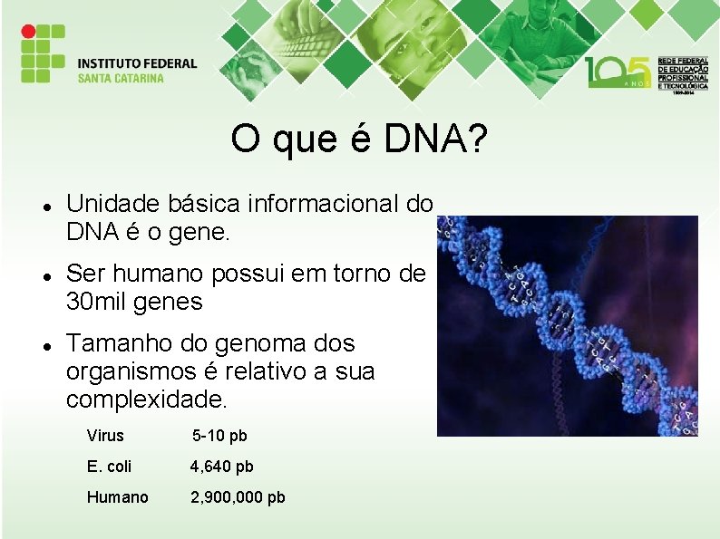 Extrao de DNA Prof Silmar Primieri Conceitos Prvios