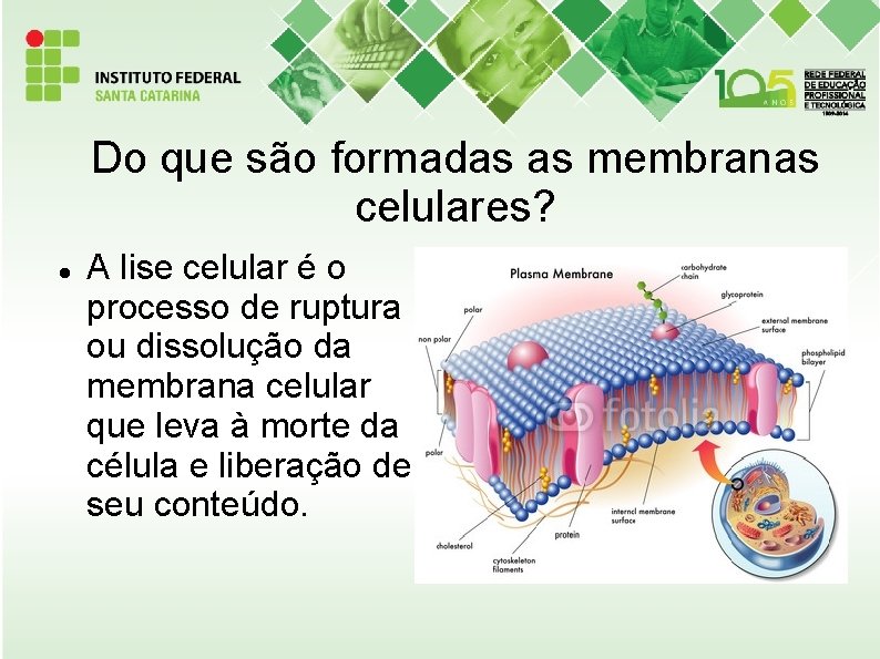 Extrao de DNA Prof Silmar Primieri Conceitos Prvios