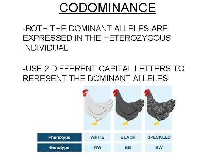 Beyond Mendelian Inheritance INCOMPLETE DOMINANCE NEITHER ALLELE IS