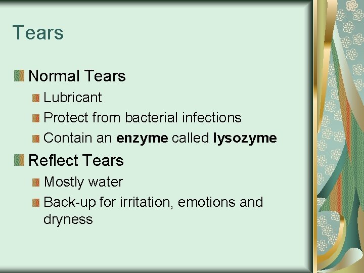 Anatomy and Physiology of the Eye BJ Le