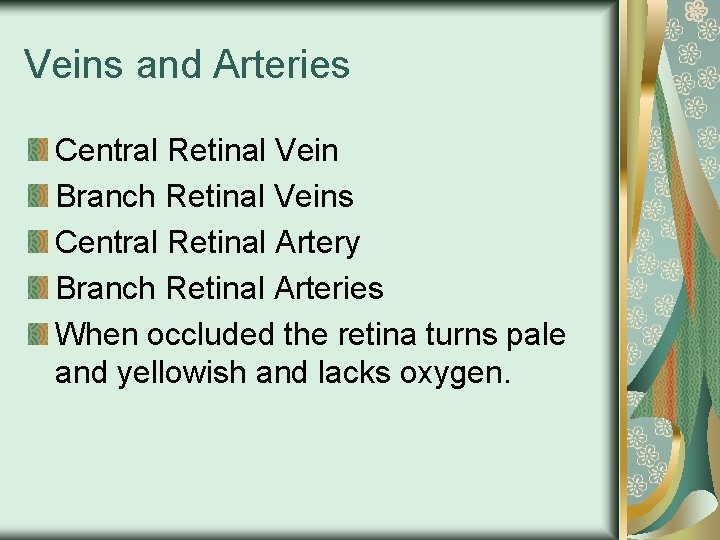 Anatomy and Physiology of the Eye BJ Le