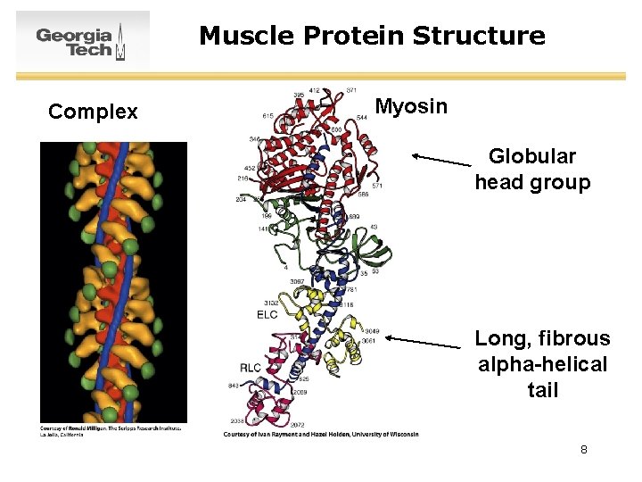 SURVEY OF BIOCHEMISTRY Protein Function 1 O 2