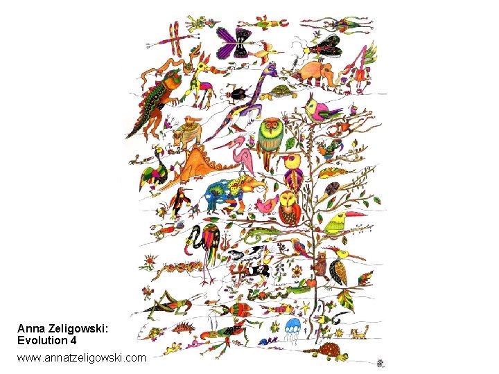 Evolucija kot osrednji koncept pri pouku biologije Barbara