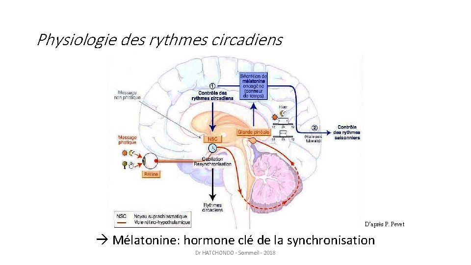 Troubles du sommeil de lenfant et ladolescent Que