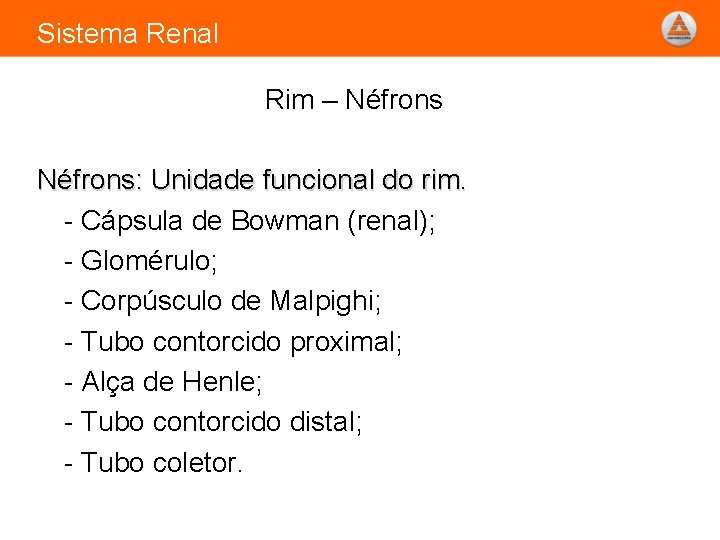 SISTEMA RENAL Sistema Renal Rins Secretam a urina