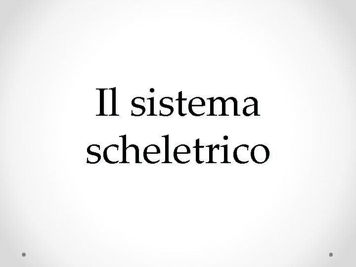 Il sistema scheletrico Funzioni funzionamento Lo scheletro linsieme
