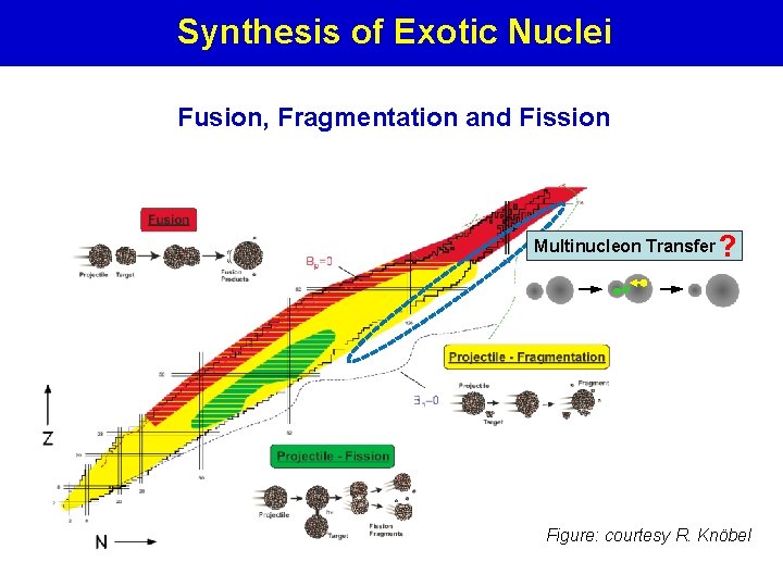 Multinucleon Transfer Reactions a New Way to Exotic