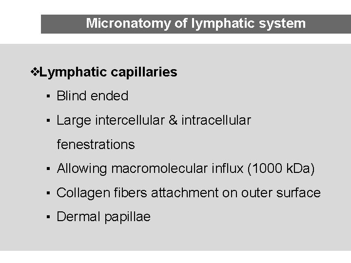 LYMPHEDEMA AND TREATMENT Dr Hakan Arslan Accumulation of