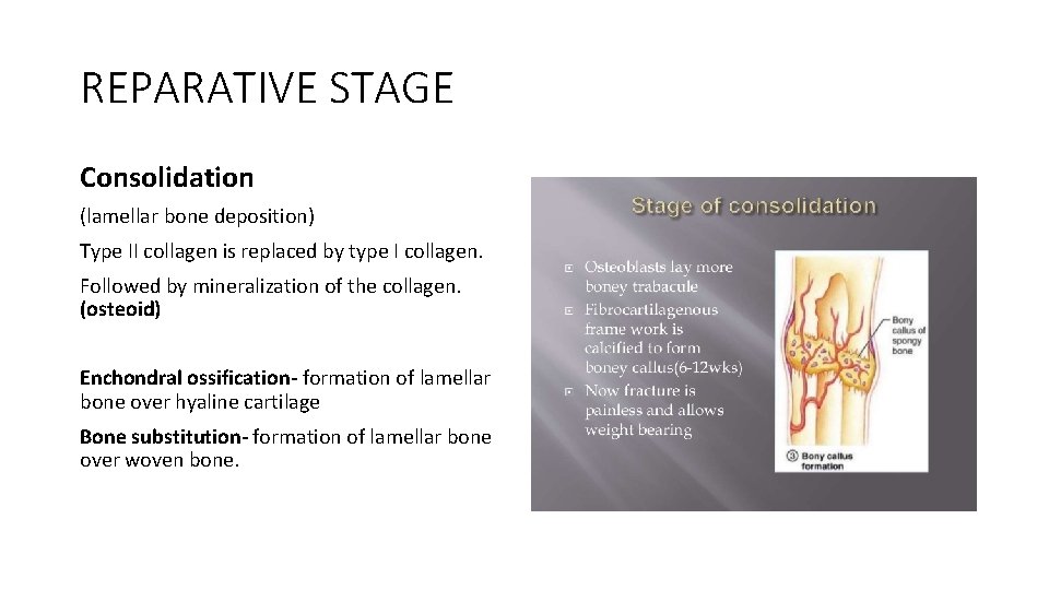 FRACTURE HEALING Dr Mohit Dhingra DEFINITON OF FRACTURE