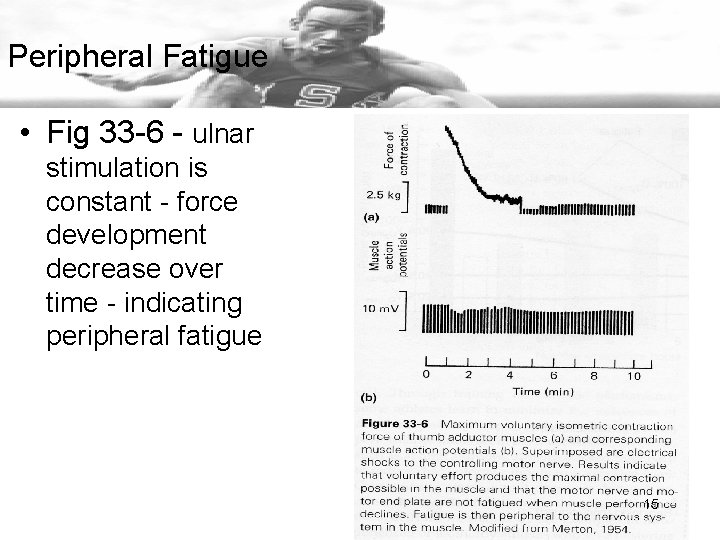 Fatigue Brooks Ch 33 1 Outline Definitions Central