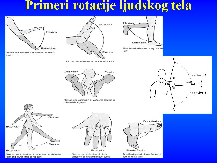 Rotaciono kretanje Ugaone veliine Ugaona kinematika Kotrljanje Razmatrajmo