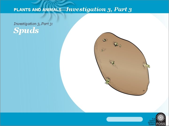 PLANTS AND ANIMALSInvestigation 3 Part 3 Spuds 3