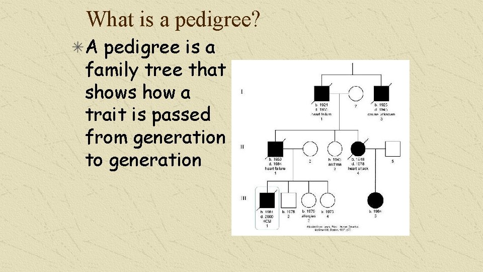 Pedigree charts Pedigree notes handout What is a