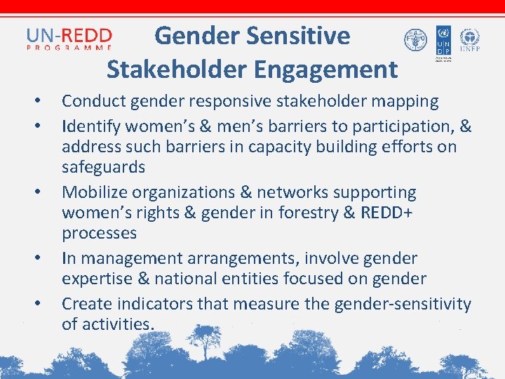 Entry points for gender equality womens empowerment concepts