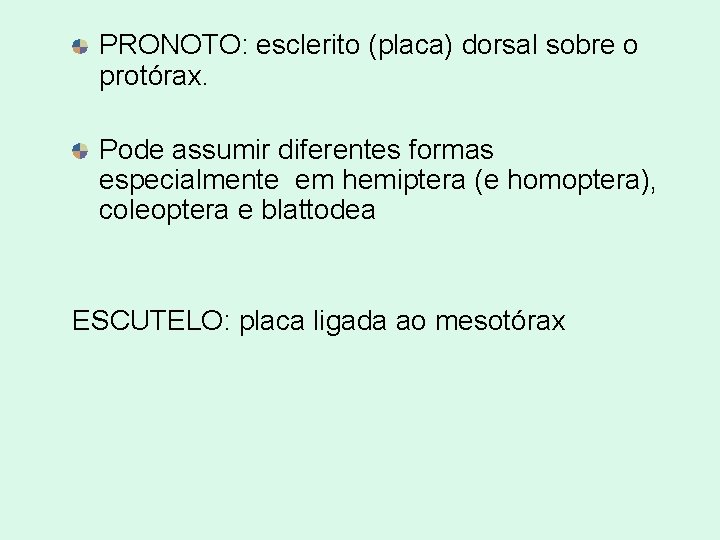 MORFOLOGIA EXTERNA DOS INSETOS ENTOMOLOGIA GERAL I Importncia