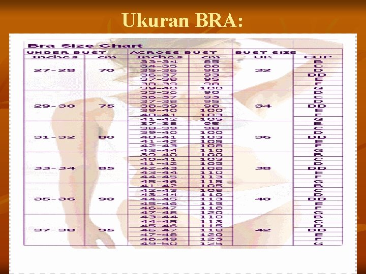 GLANDULA MAMMAE Kelenjar Buah Dada Oleh dr Ibrahim