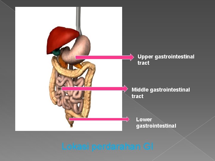 PEMERIKSAAN LABORATORIUM GASTRO INTESTINAL Dr JONI T PARINDING